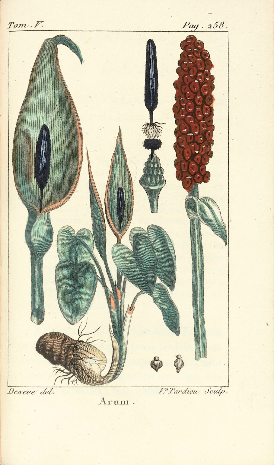 LAMARCK, Jean-Baptiste de / MIRBEL, Charles-François Brisseau de ...
