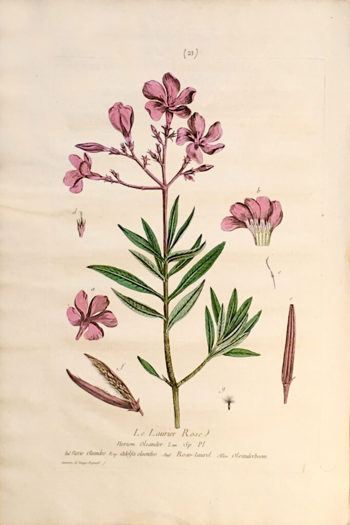 REGNAULT, Nicolas-François et Geneviève. : La Botanique mise a la...