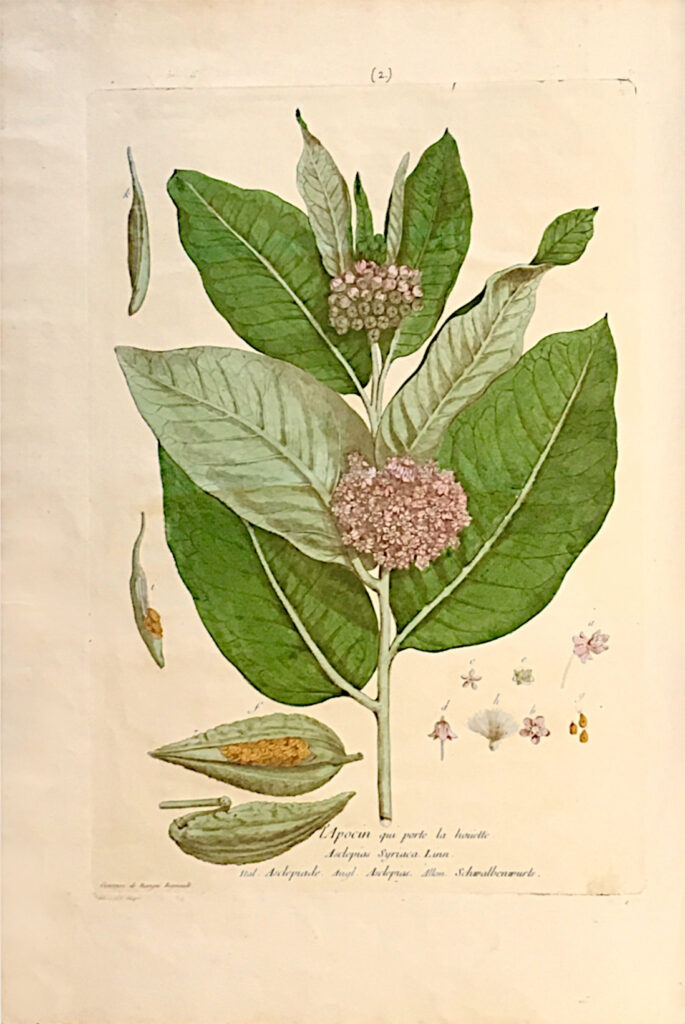 REGNAULT, Nicolas-François et Geneviève. : La Botanique mise a la...